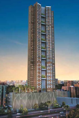 Mohini Group